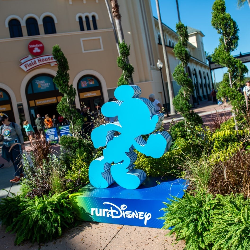 Runner Info | Disney Princess Half Marathon Weekend | runDisney